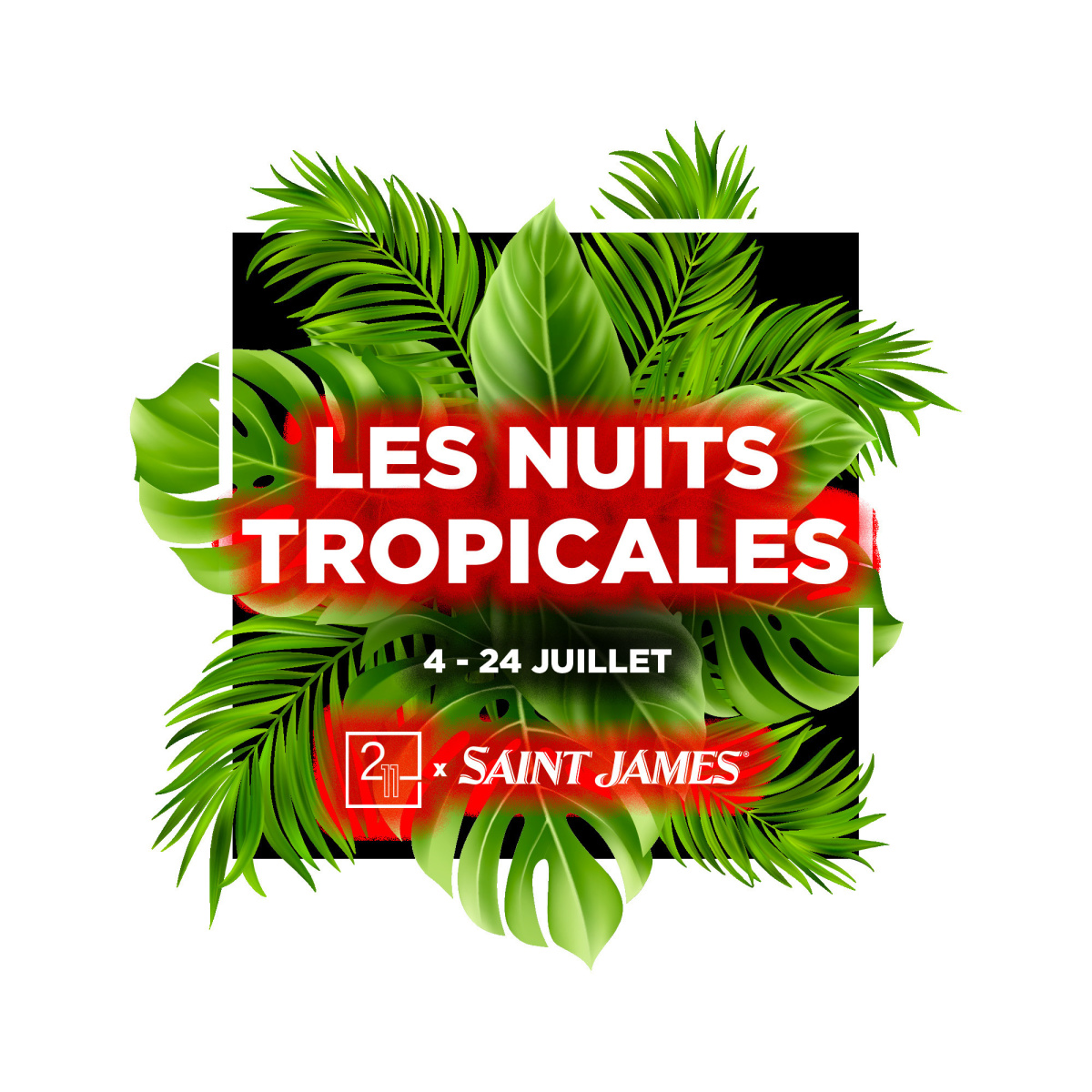 Lancement des Nuits Tropicales au 211 : une expérience immersive inédite
