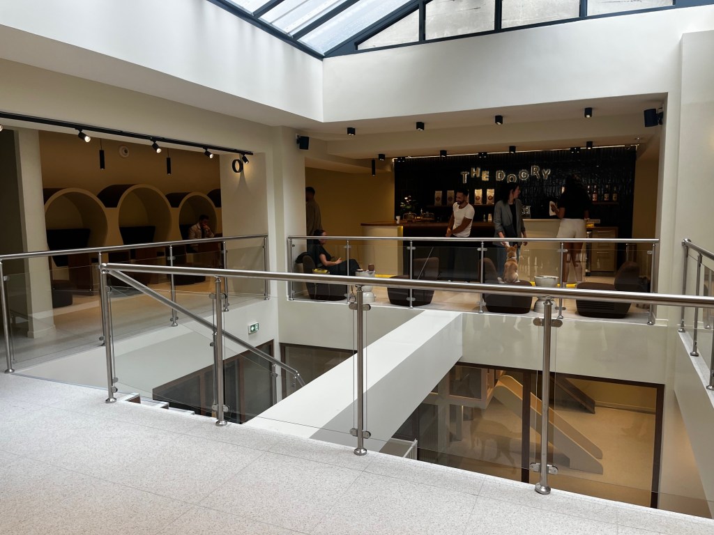 The Dogry : le nouveau social club canin